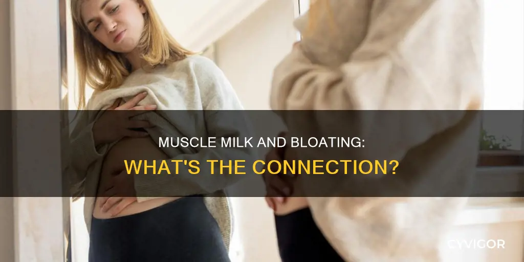 Muscle Milk And Bloating: What's The Connection? | CyVigor
