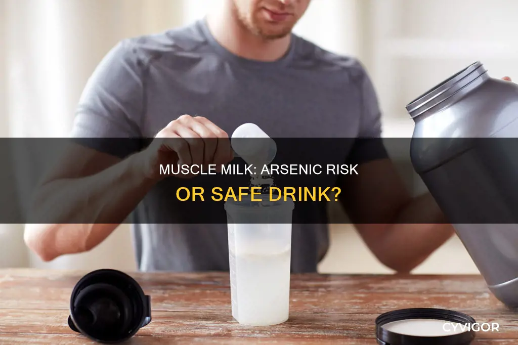 Muscle Milk: Arsenic Risk Or Safe Drink? | CyVigor