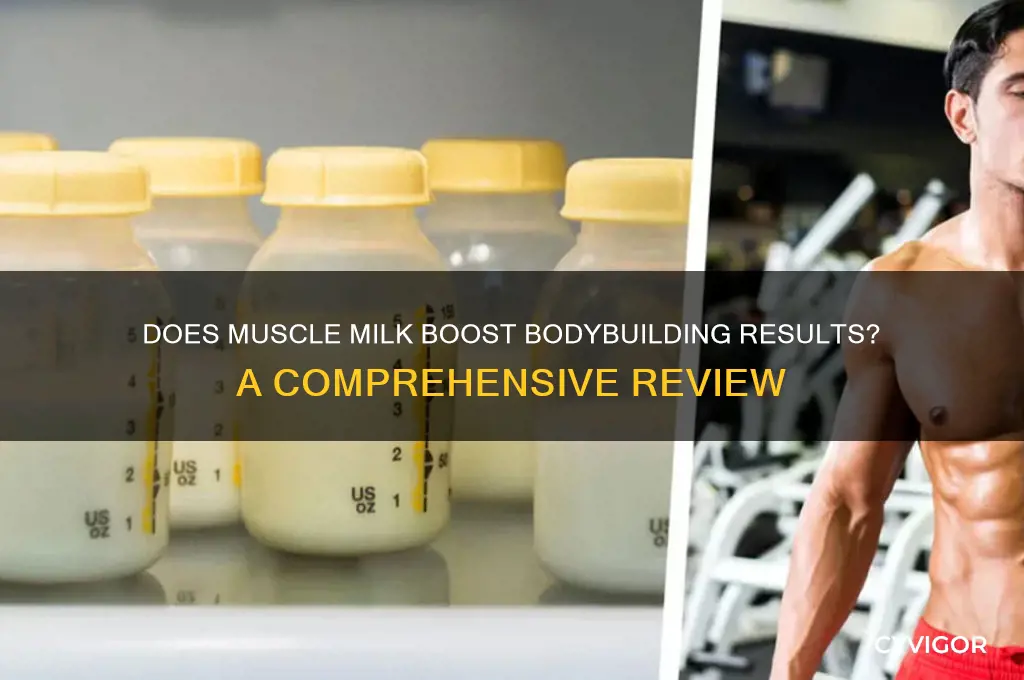 Does Muscle Milk Boost Bodybuilding Results? A Comprehensive Review ...