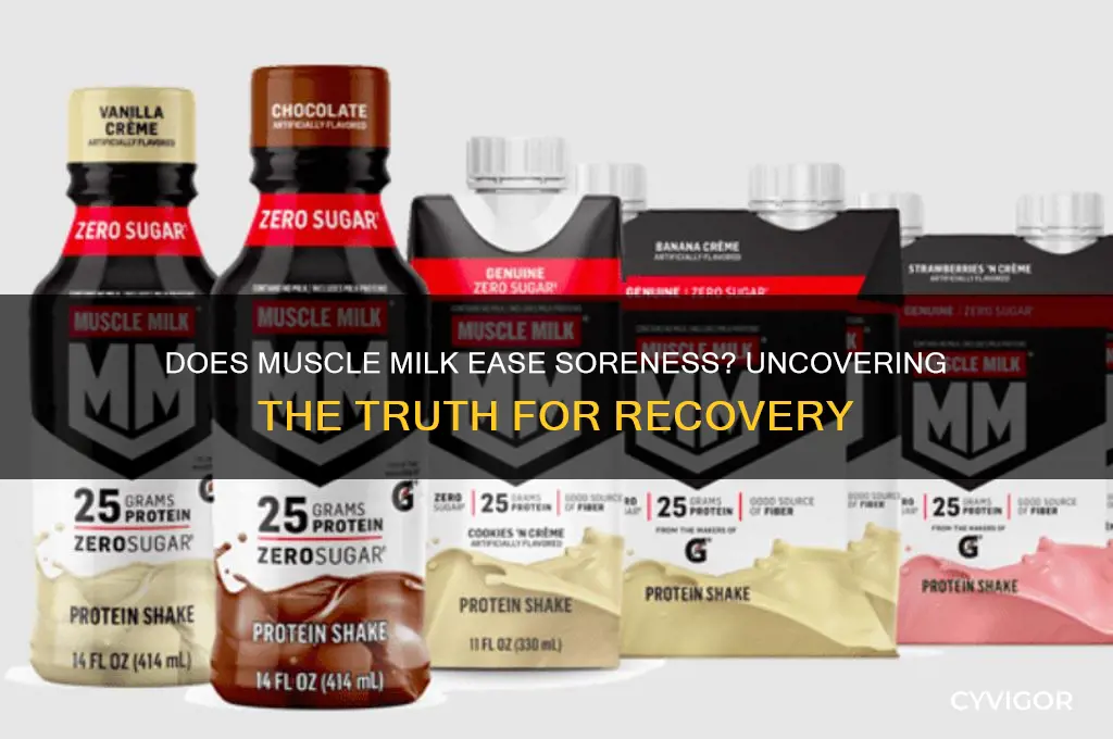 Does Muscle Milk Ease Soreness? Uncovering The Truth For Recovery | CyVigor