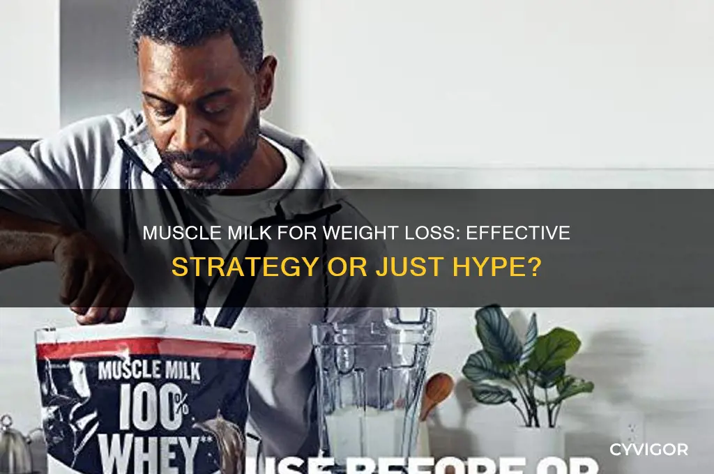 Muscle Milk For Weight Loss: Effective Strategy Or Just Hype? | CyVigor