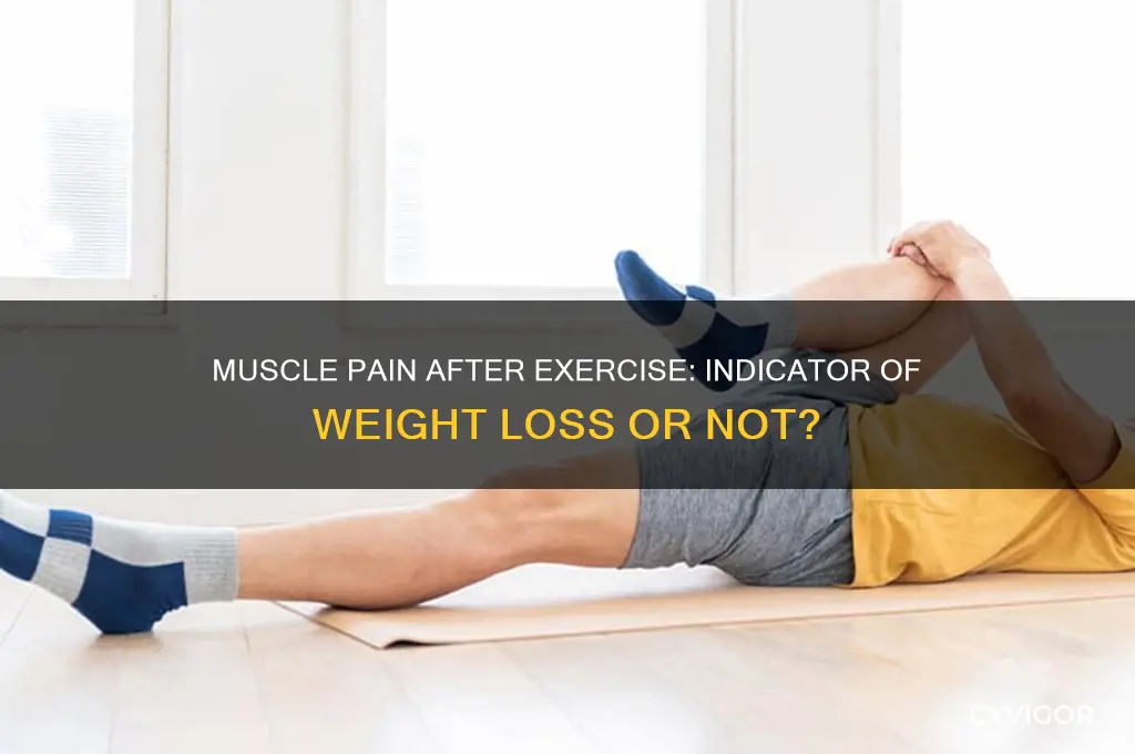 Muscle Pain After Exercise: Indicator Of Weight Loss Or Not? | CyVigor