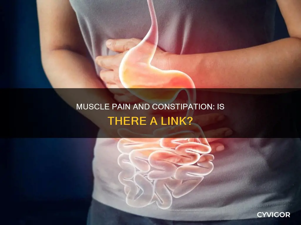 Muscle Pain And Constipation: Is There A Link? | CyVigor