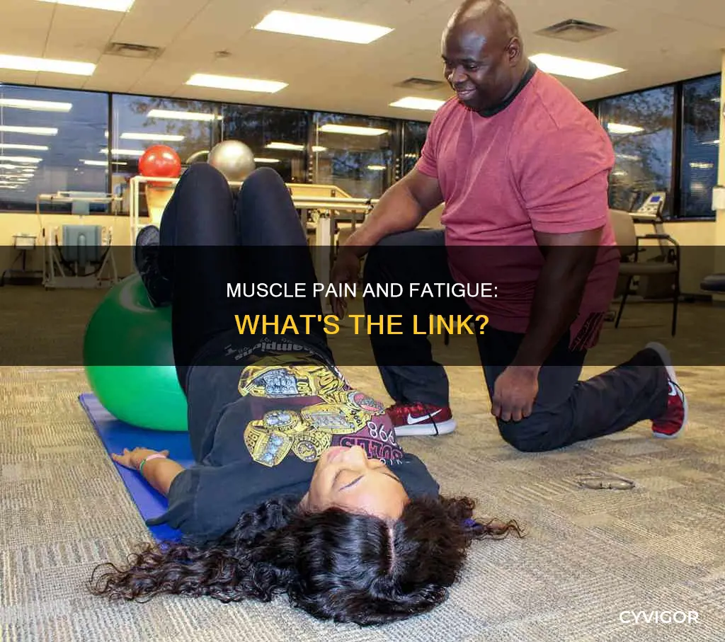 Muscle Pain And Fatigue: What's The Link? | CyVigor