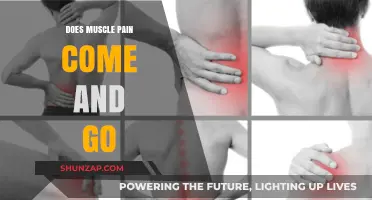 Understanding Chest Muscle Pain: Causes, Symptoms, And When To Seek ...