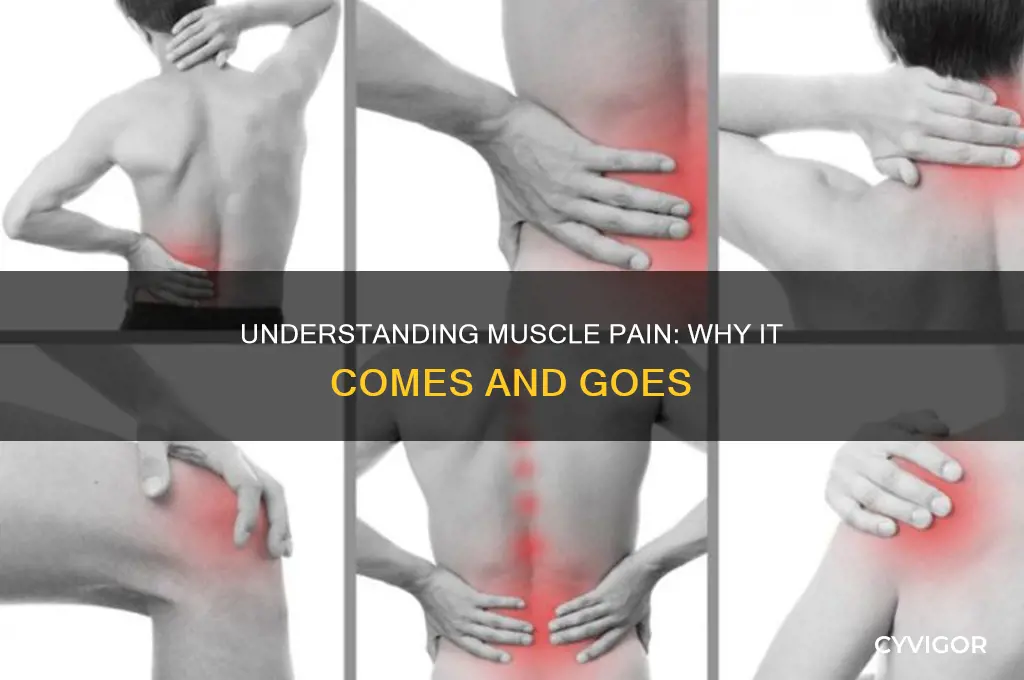 Understanding Muscle Pain: Why It Comes And Goes | CyVigor