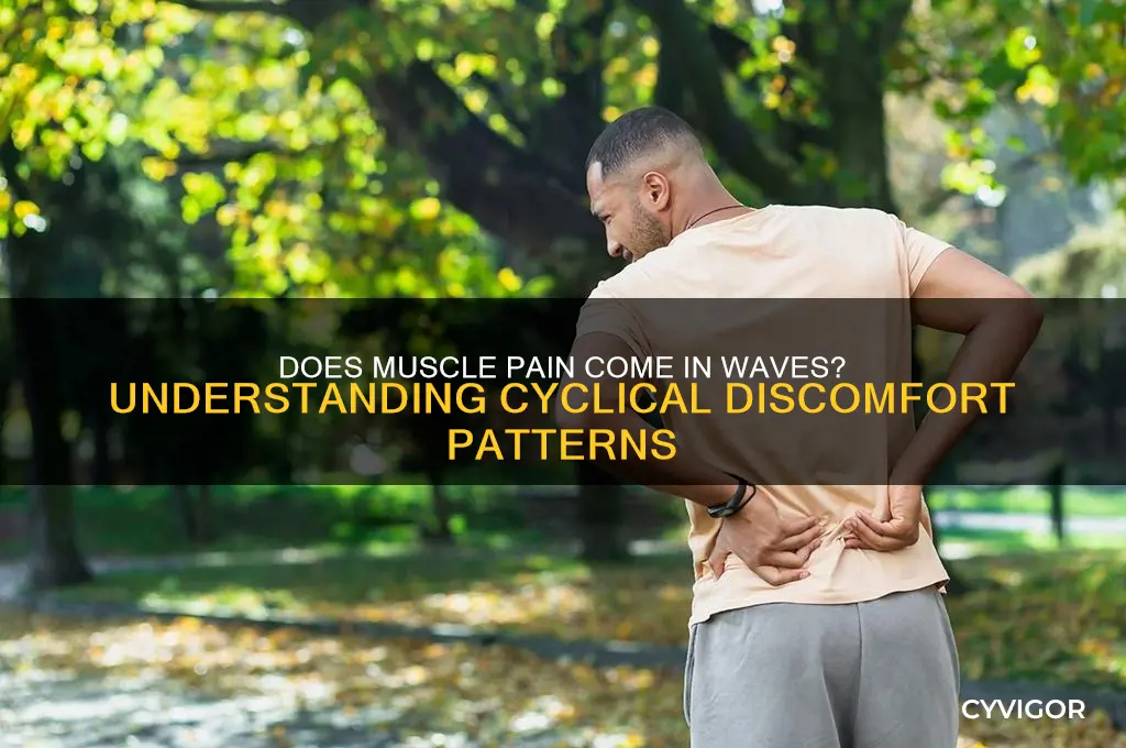 Does Muscle Pain Come In Waves? Understanding Cyclical Discomfort ...