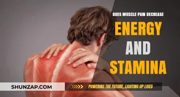 Lisinopril And Muscle Pain: Understanding Potential Side Effects | CyVigor