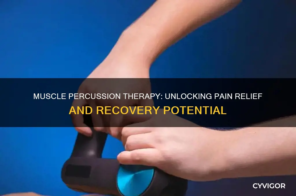 Muscle Percussion Therapy: Unlocking Pain Relief And Recovery Potential ...