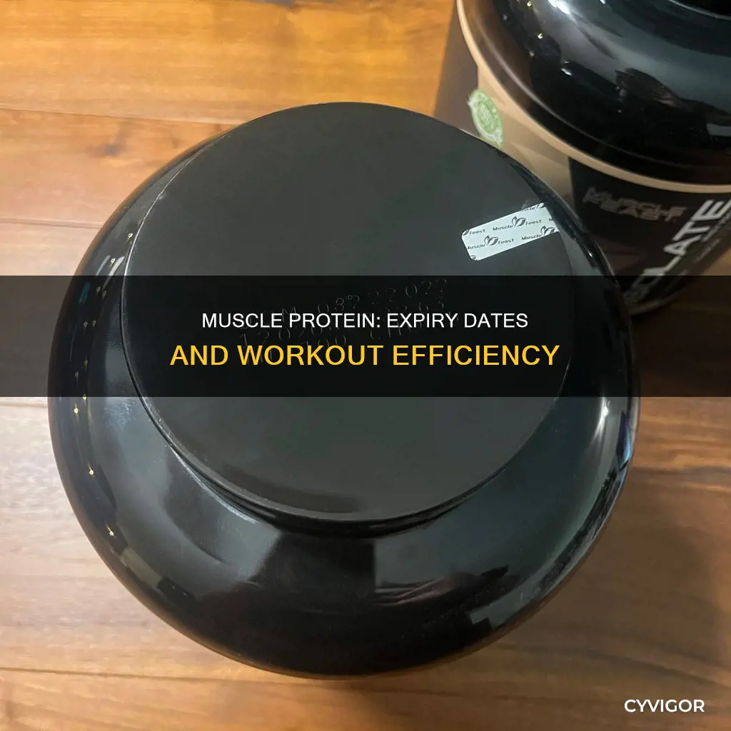 Muscle Protein: Expiry Dates And Workout Efficiency | CyVigor