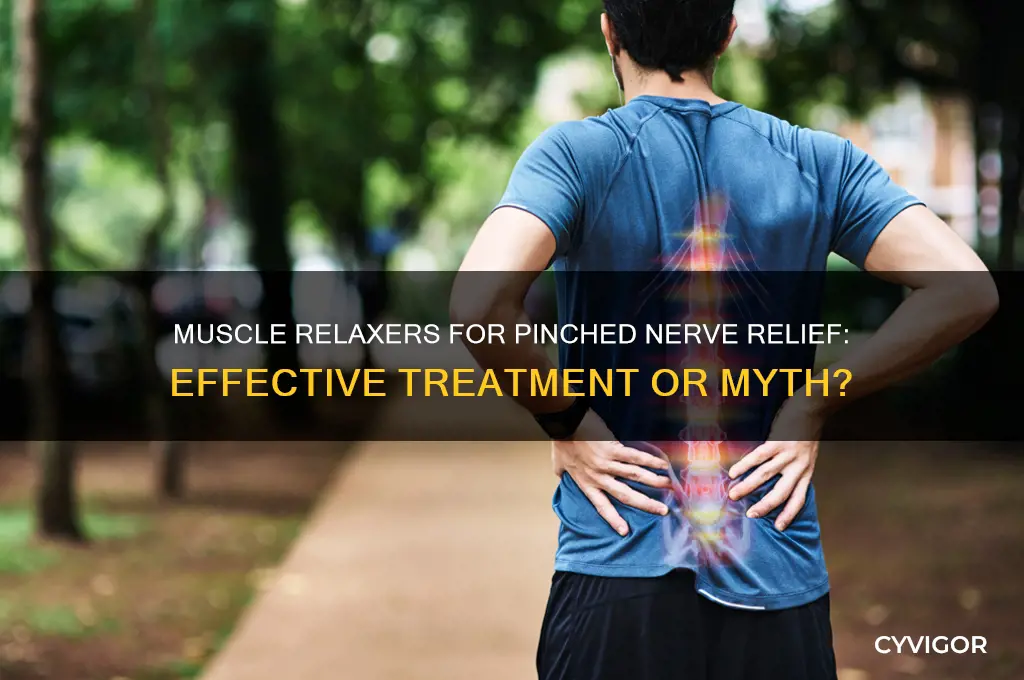 Muscle Relaxers For Pinched Nerve Relief: Effective Treatment Or Myth ...