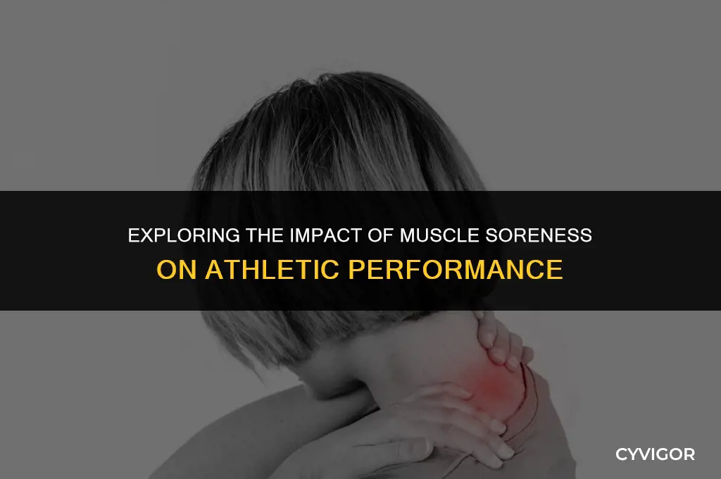 Exploring The Impact Of Muscle Soreness On Athletic Performance | CyVigor