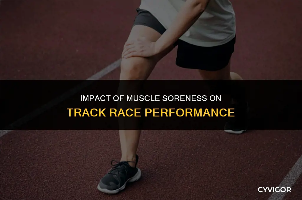 Impact Of Muscle Soreness On Track Race Performance | CyVigor