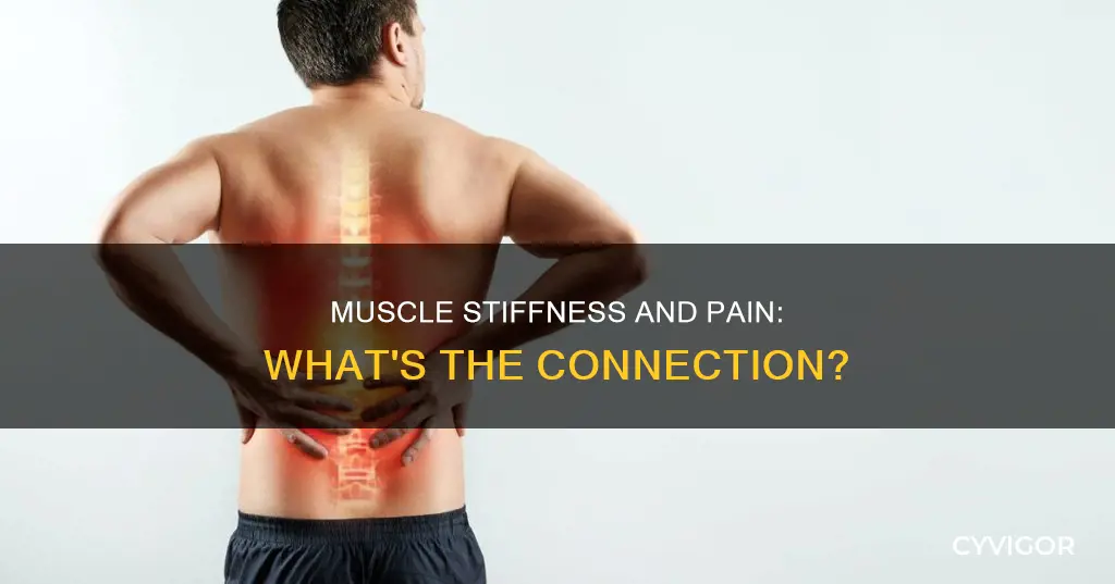 Muscle Stiffness And Pain: What's The Connection? | CyVigor