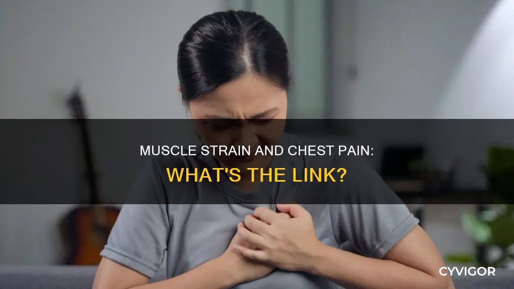 Muscle Strain And Chest Pain: What's The Link? | CyVigor