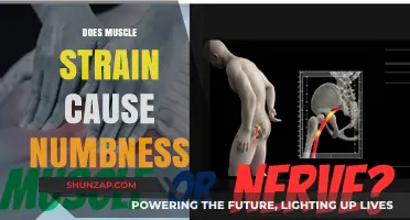 Muscle Strain And Spasms: What's The Connection? | CyVigor