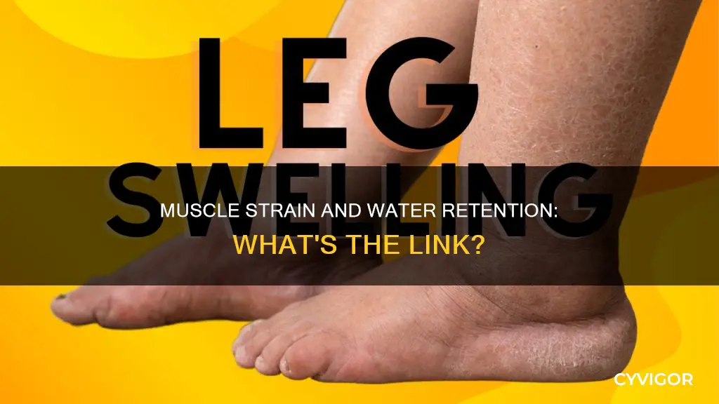 Muscle Strain And Water Retention: What's The Link? | CyVigor