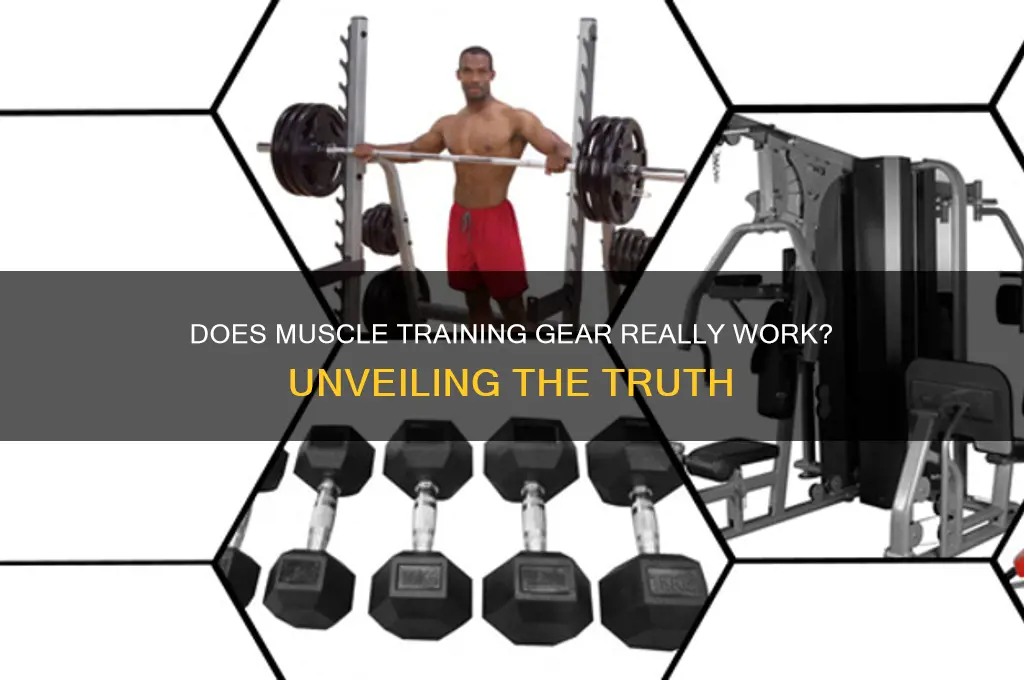 Does Muscle Training Gear Really Work? Unveiling The Truth | CyVigor