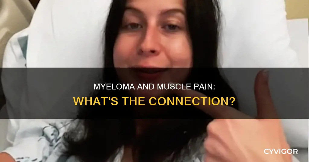 Myeloma And Muscle Pain: What's The Connection? | CyVigor