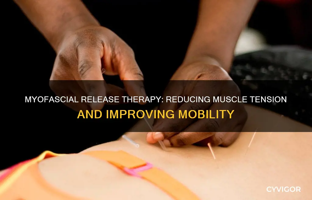 Myofascial Release Therapy: Reducing Muscle Tension And Improving ...