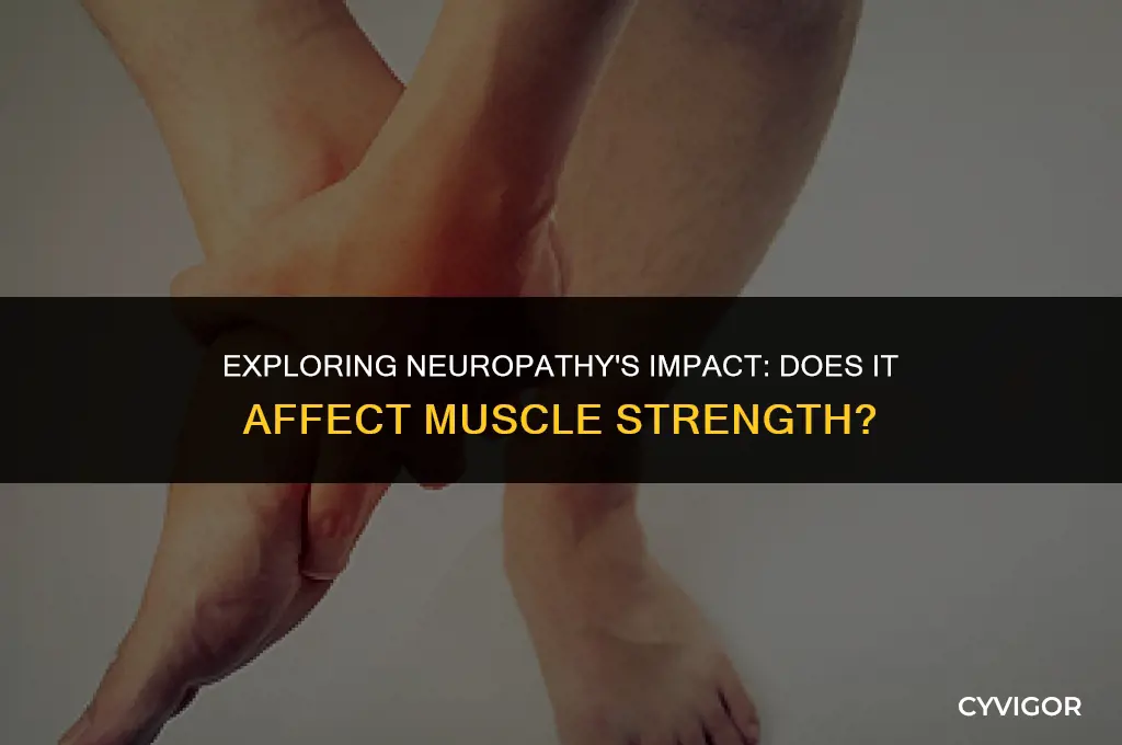 Exploring Neuropathy's Impact: Does It Affect Muscle Strength? | CyVigor