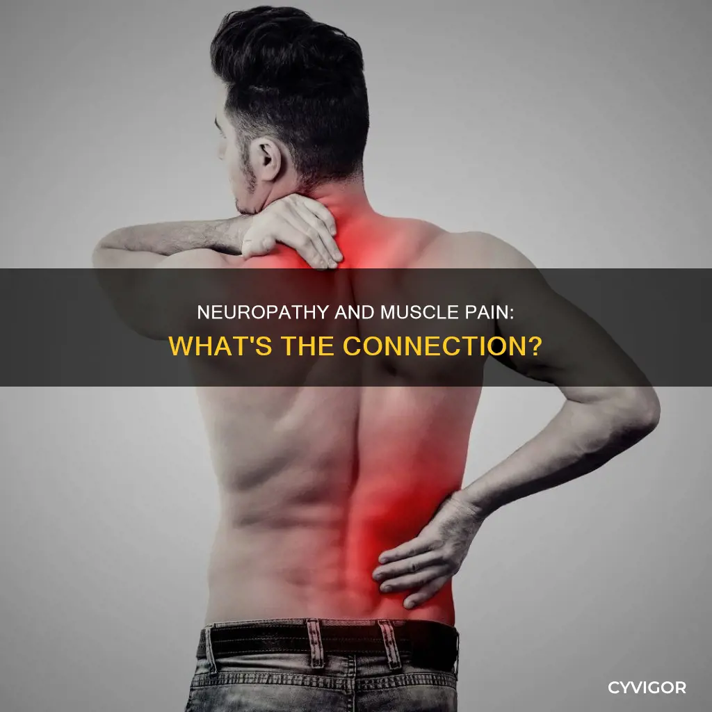 Neuropathy And Muscle Pain: What's The Connection? | CyVigor