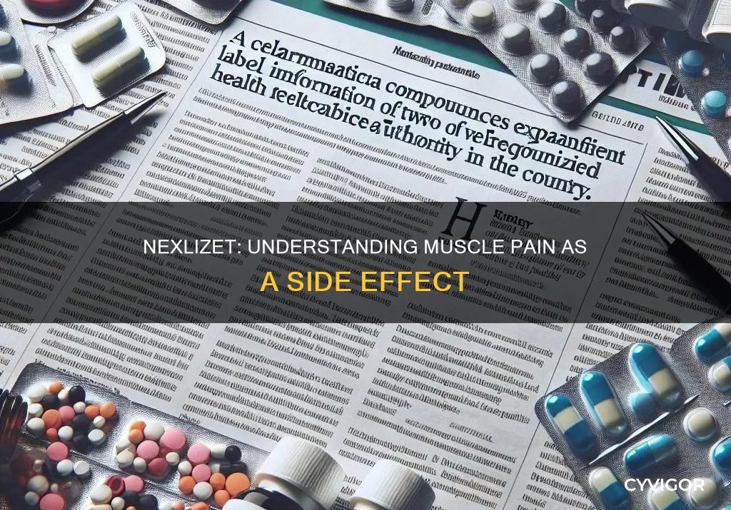 Nexlizet: Understanding Muscle Pain As A Side Effect | CyVigor