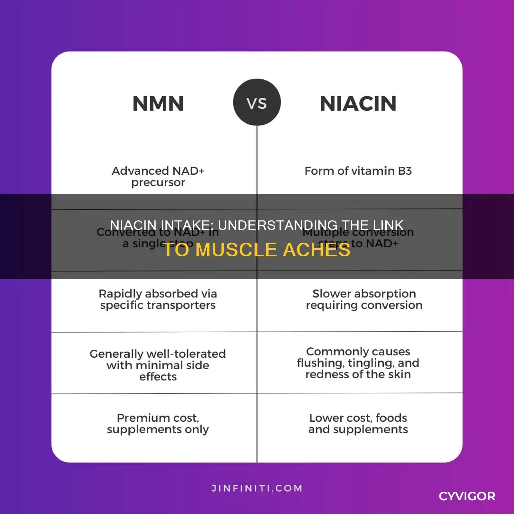 Niacin Intake: Understanding The Link To Muscle Aches | CyVigor