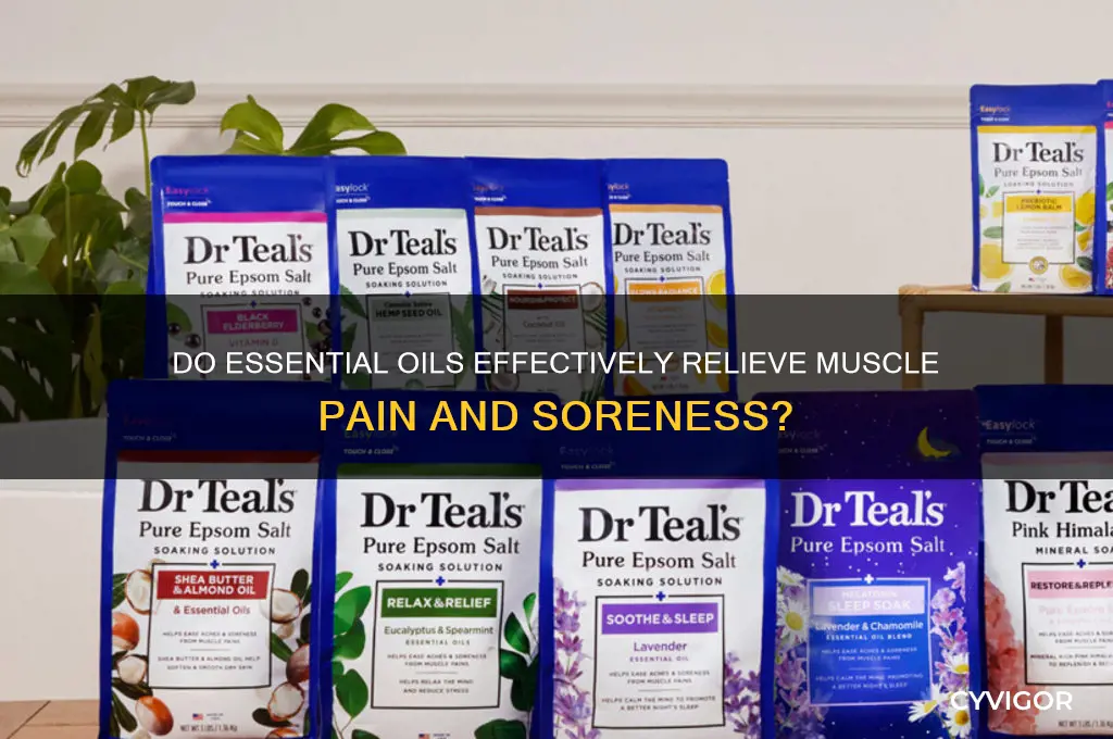 Do Essential Oils Effectively Relieve Muscle Pain And Soreness? | CyVigor
