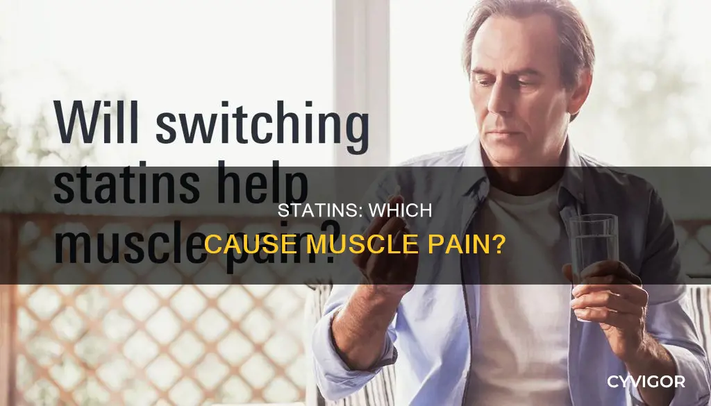 Statins: Which Cause Muscle Pain? | CyVigor