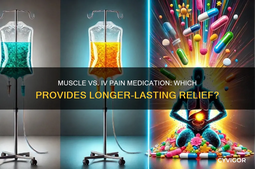 Muscle Vs. Iv Pain Medication: Which Provides Longer-Lasting Relief ...