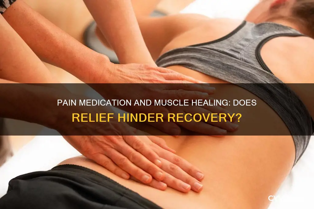 Pain Medication And Muscle Healing: Does Relief Hinder Recovery? | CyVigor