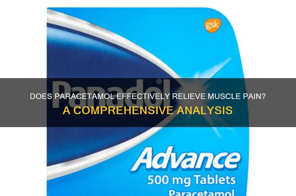 Does Paracetamol Effectively Relieve Muscle Pain? A Comprehensive ...