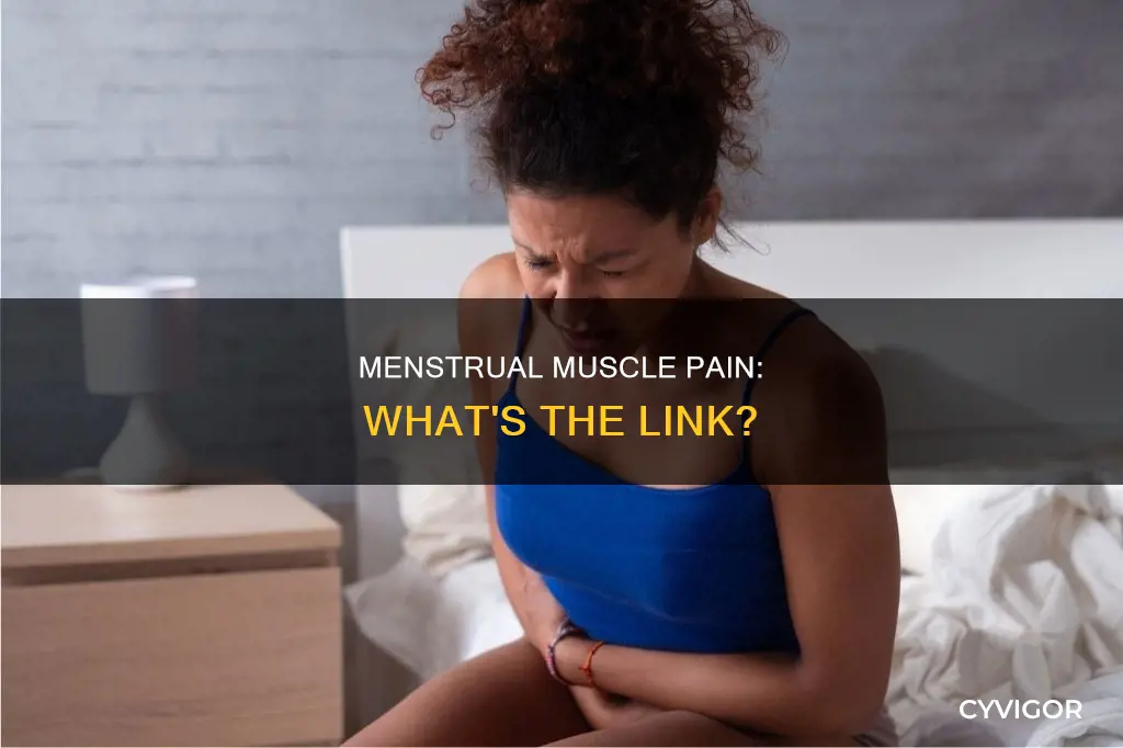 Menstrual Muscle Pain: What's The Link? | CyVigor