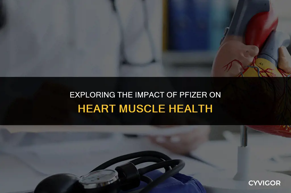 Exploring The Impact Of Pfizer On Heart Muscle Health | CyVigor