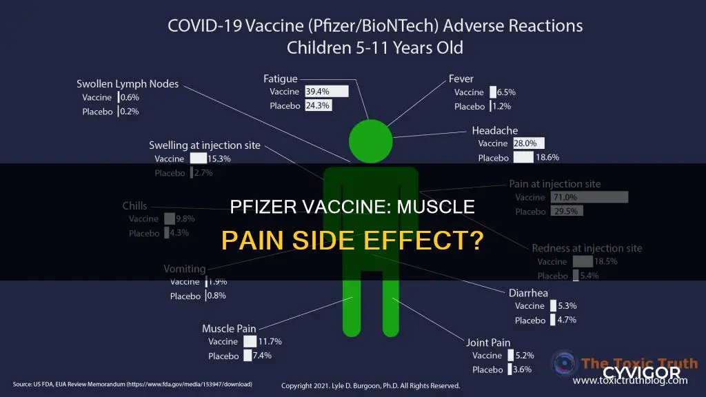 Pfizer Vaccine: Muscle Pain Side Effect? | CyVigor
