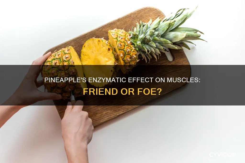 Pineapple's Enzymatic Effect On Muscles: Friend Or Foe? | CyVigor