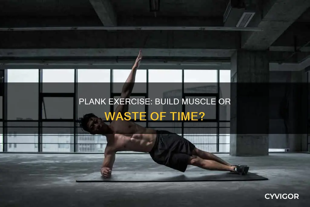 Plank Exercise: Build Muscle Or Waste Of Time? | CyVigor