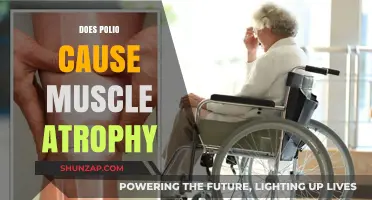 Plavix Side Effects: Muscle And Joint Pain Explained | CyVigor