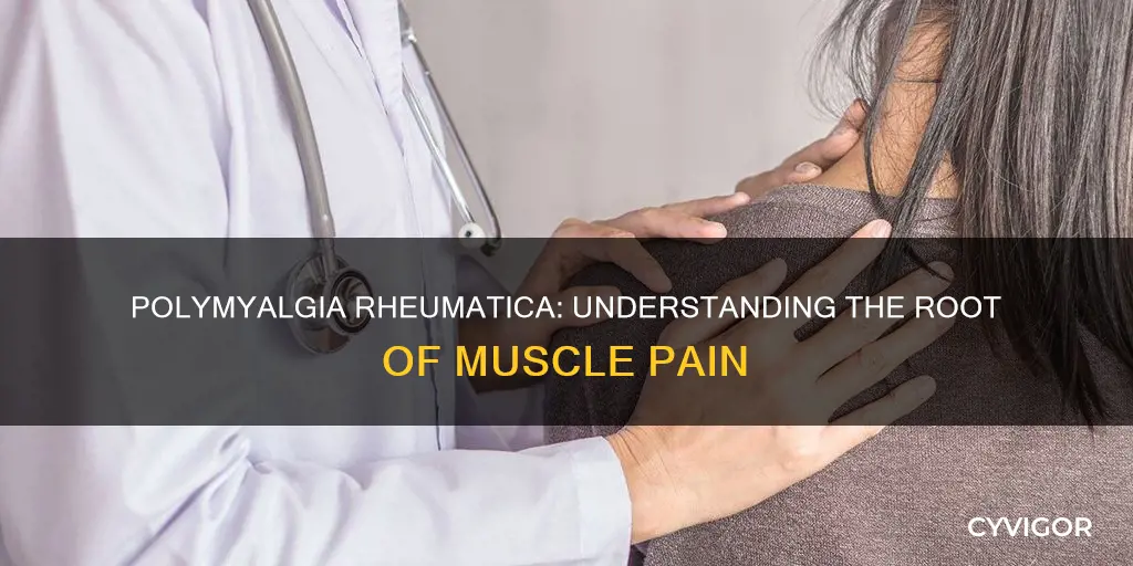 Polymyalgia Rheumatica: Understanding The Root Of Muscle Pain | CyVigor