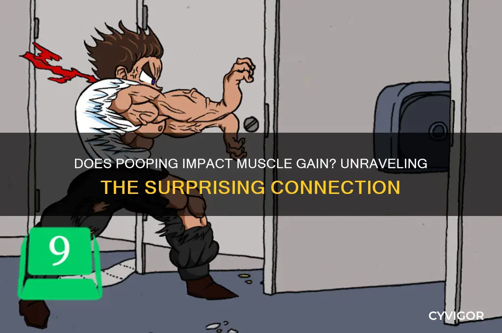Does Pooping Impact Muscle Gain? Unraveling The Surprising Connection ...