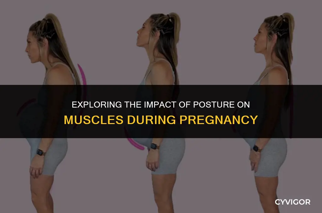 Exploring The Impact Of Posture On Muscles During Pregnancy | CyVigor