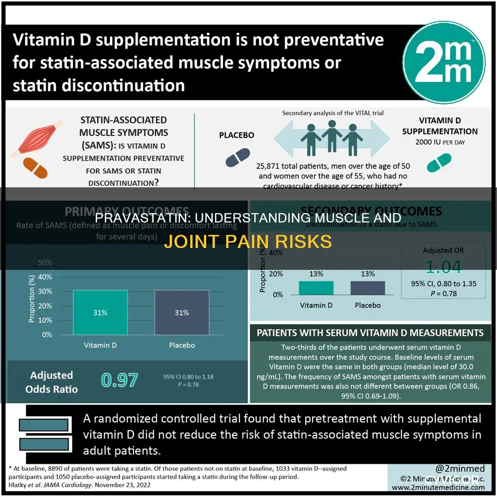 Pravastatin: Understanding Muscle And Joint Pain Risks | CyVigor