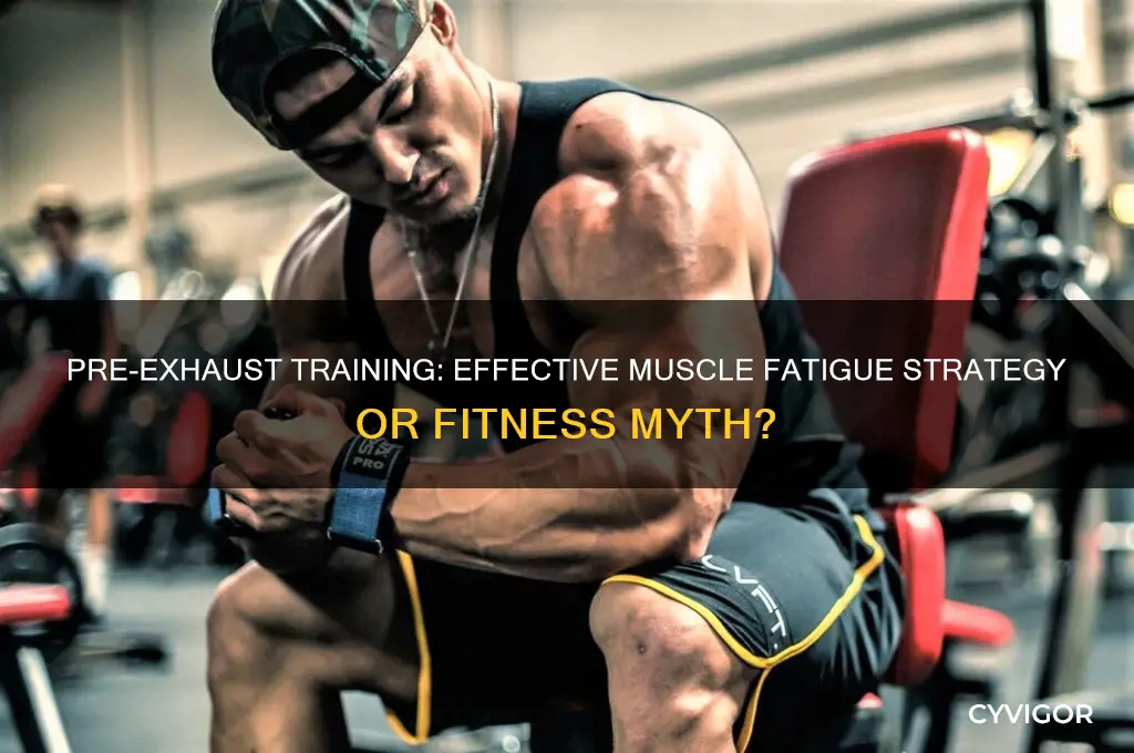Pre-Exhaust Training: Effective Muscle Fatigue Strategy Or Fitness Myth ...