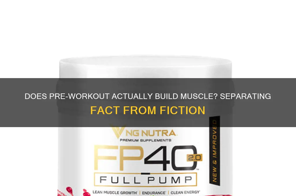 Does Pre-Workout Actually Build Muscle? Separating Fact From Fiction ...