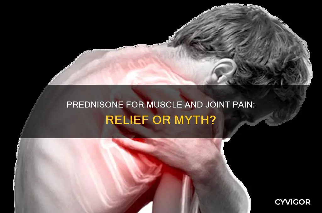 Prednisone For Muscle And Joint Pain: Relief Or Myth? | CyVigor