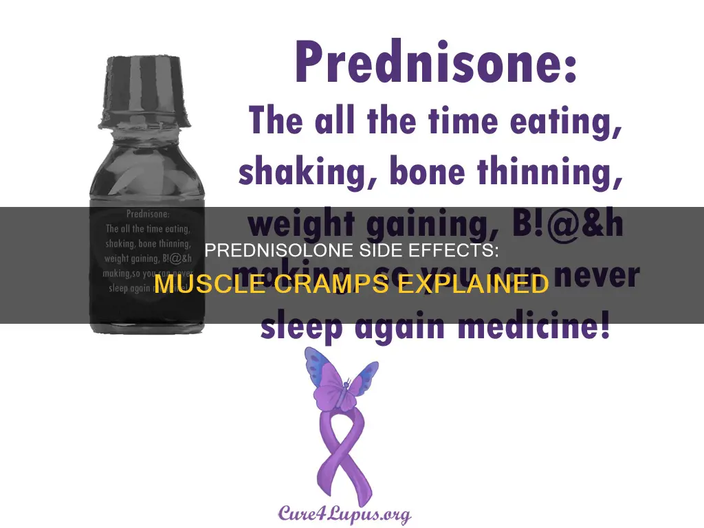Prednisolone Side Effects: Muscle Cramps Explained | CyVigor