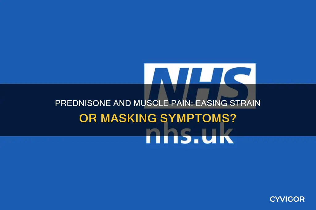 Prednisone And Muscle Pain: Easing Strain Or Masking Symptoms? | CyVigor