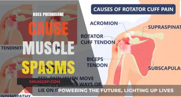 Progesterone's Painful Side Effects: Muscle And Joint Impact | CyVigor