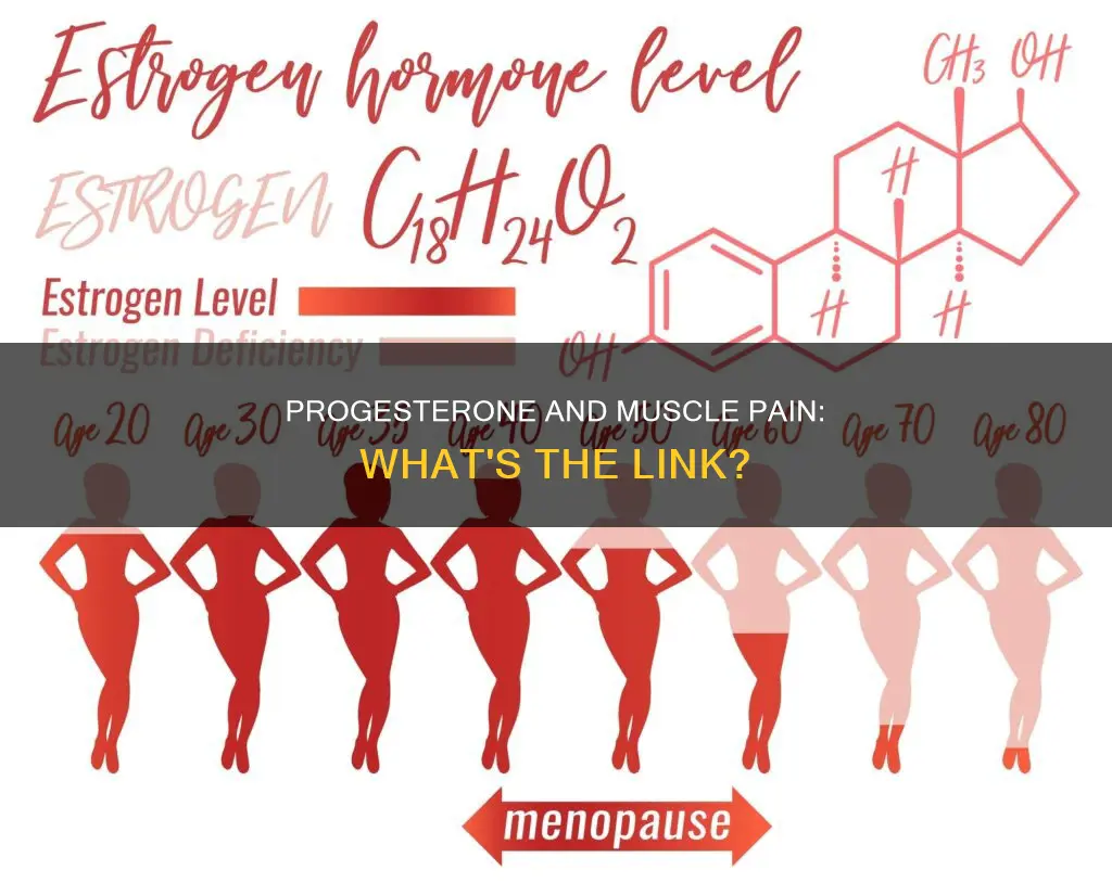 Progesterone And Muscle Pain: What's The Link? | CyVigor